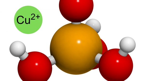 Removal of copper (Cu2+) ions from aqueous solutions by adsorption on ...